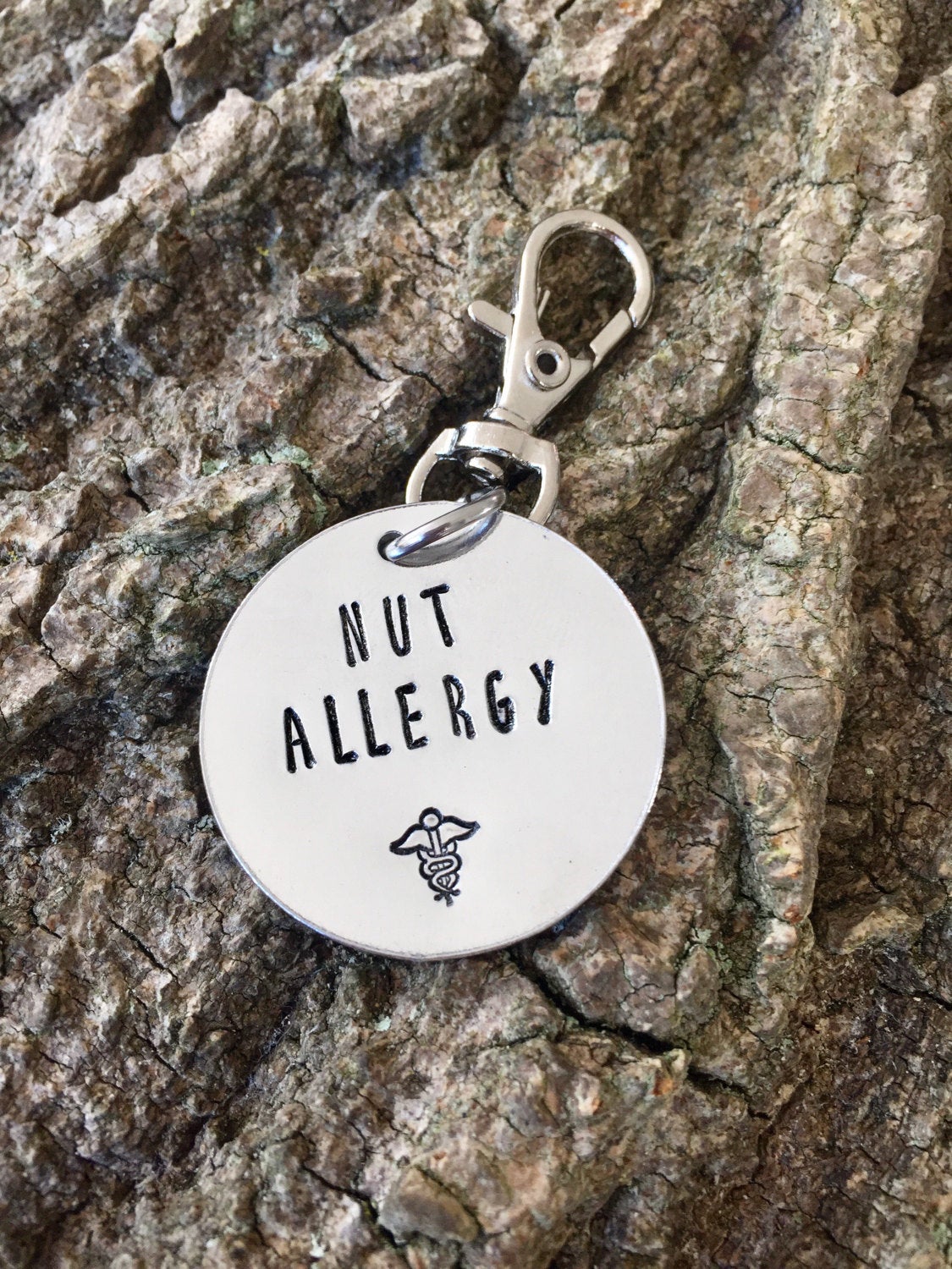 Childrens Lunchbox Tag, Allergy Tag, Medical Tag, Allergy Warning ...